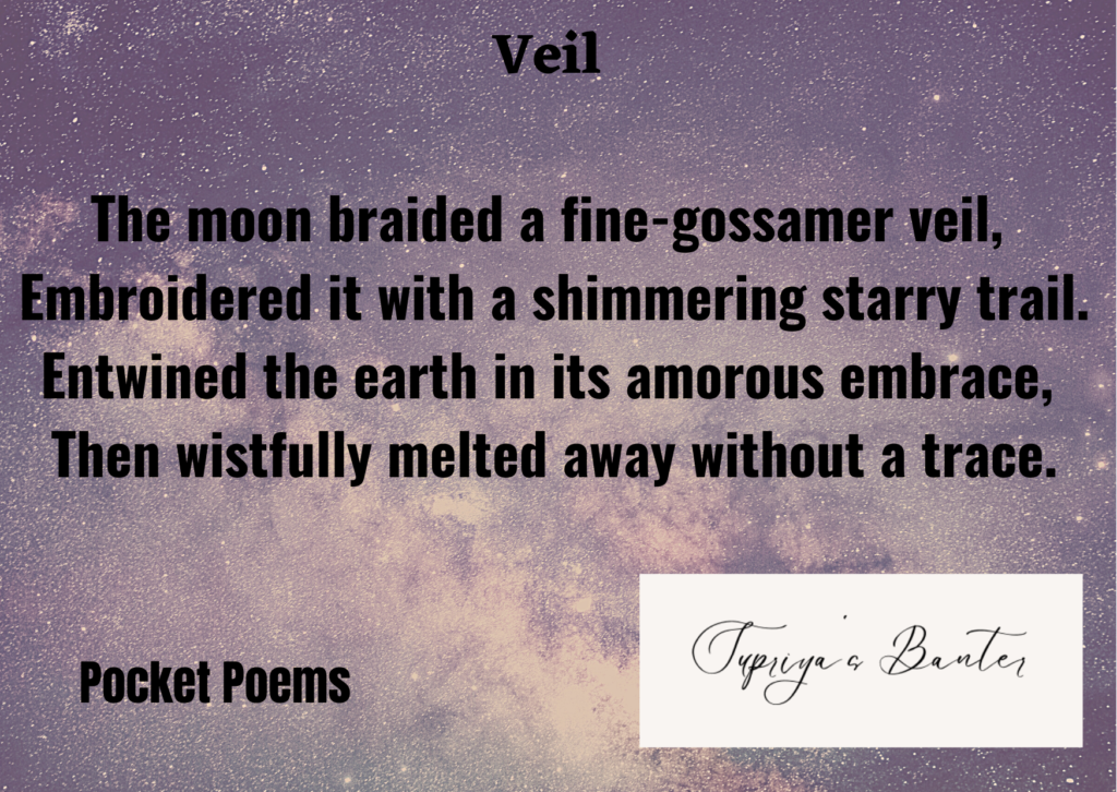 Pocket Poem- Veil - Supriya's Banter